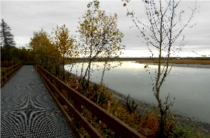 Parks | Kenai, Alaska