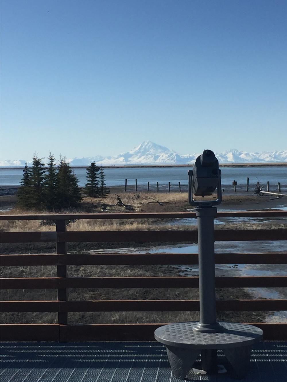 Tarbox Wildlife Viewing Platform | Kenai, Alaska