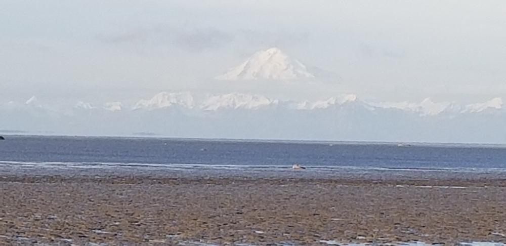 Kenai South Beach | Kenai, Alaska